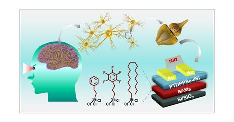 Interfacial Trap Effect Modulation Of Organic Phototransistors For