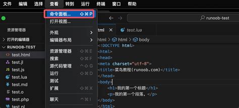 Vscode 命令面板 菜鸟教程