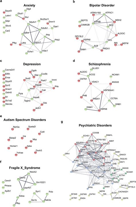 Functional Interaction Networks Of Proteins Dysregulated In Mental