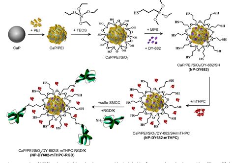 Biological And Medical Applications Of Calcium Phosphate 47 Off