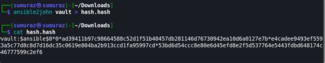 punk ctf 2025 — password cracking all of them writeup by sumuraz