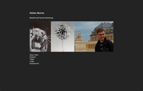 Stefan Mucha Zeichnungen Mit Bleistift Und Fineliner Bildende Kunst
