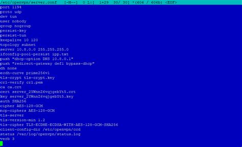 Install Openvpn Dnscrypt And Pi Hole Ubuntu 20 Ipfail