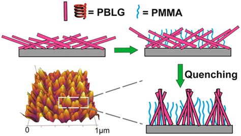 Synthesis Processing And Characterization Of Helical Polypeptide Rodcoil Mixed Brushes Acs