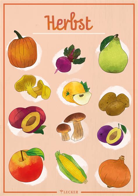Schaubild „schaubild Obst Und Gemüse Im Herbst Quizlet