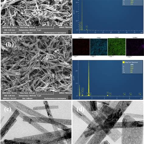 Sem Along With Eds And Elemental Mapping Of A Tio2 Nrs And B 5ta Tio2 Download Scientific