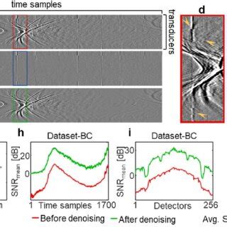Discriminative Deep Learning Framework For Denoising Optoacoustic Download Scientific Diagram