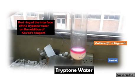 Tryptone Water Introduction Principle Composition Preparation Proce