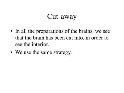 Ppt Visualizing Fiber Tracts In The Brain Using Diffusion Tensor Data Powerpoint Presentation