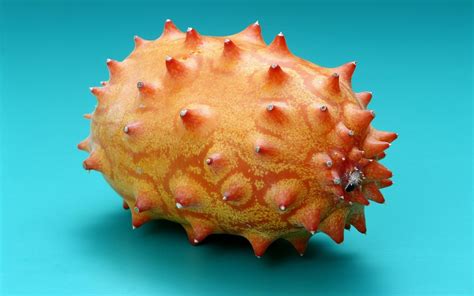 Маленький колючий фрукт 65 фото