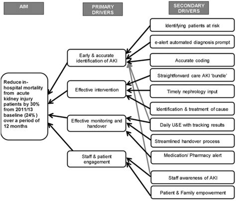 Driver Diagram Demonstrating Key Drivers And Relationships Download