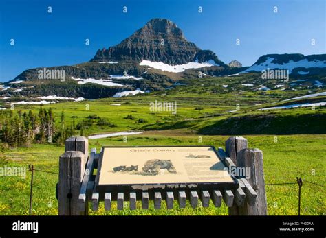 Logan Pass View Of Mt Reynolds With Interpretive Board Glacier