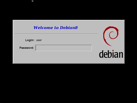 About X11 Display Server Display Or Login Manager Window
