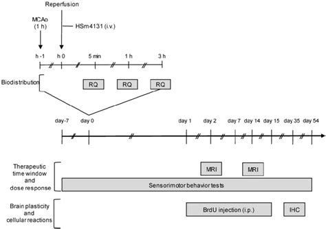 Experimental Protocols Depicted Is The Experimental Protocol To Download Scientific Diagram