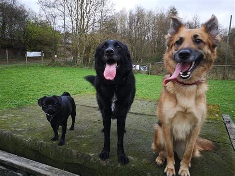 My Lil Eto With Her Big Brother And Sister Rpugs