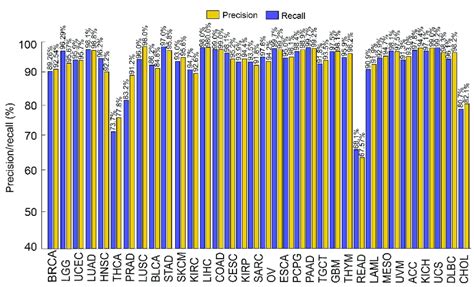 Precision Blue And Recall Yellow Scores For The Cae Classifier When