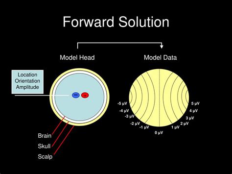 Ppt Source Localization For Eeg Meg Powerpoint Presentation Free Download Id 1118120