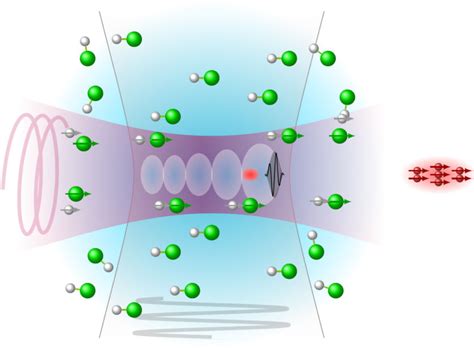 Laser Flashes For Polarized Electron And Positron Beams