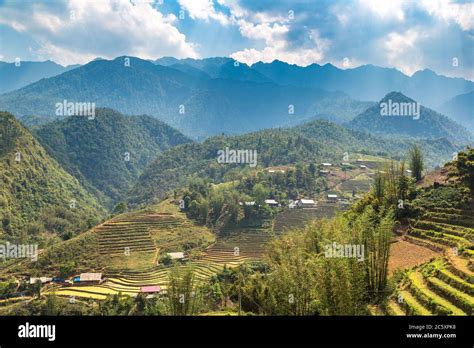 Panoramic View Of Terraced Rice Field In Sapa Lao Cai Vietnam In A