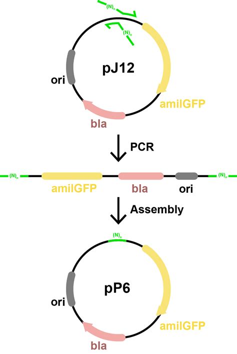 7 Assembly Synbio Project Tutorials