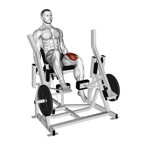 Leg Extensions Benefits Muscles Worked And More Inspire US