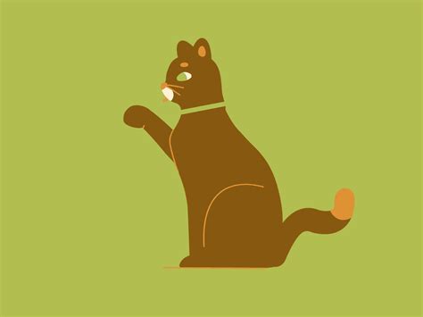 Licky Designs Themes Templates And Downloadable Graphic Elements On Dribbble