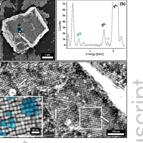 FE SEM Images A C And The Corresponding EDX Point Analysis B Of An Download Scientific