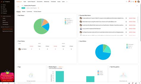 How To Customize Your Zoho Projects Dashboard