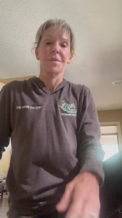 Cindy Mcmanis Dvm Dabvp Feline Practice On Linkedin