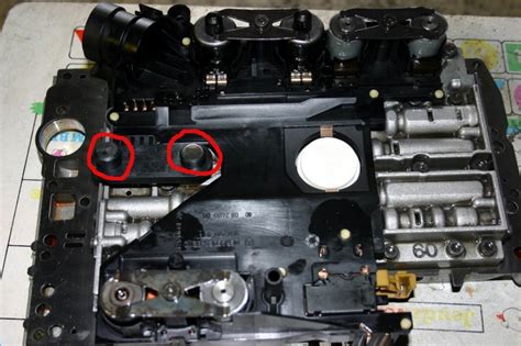 Img Servimg Com Free Image Hosting Service