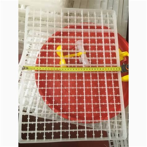 Продам купити інкубаційний лоток для перепелиних яєць — Agro Ukraine