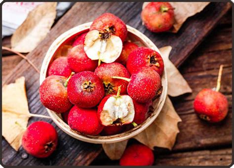 山楂的功效与作用禁忌有哪些（山楂的功效与注意事项禁忌有哪些） 说明书网