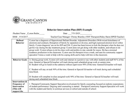 Spd 540 Rs Behavior Intervention Plan Example Behavior Intervention