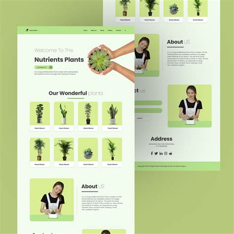 Qamar Saleem On Linkedin Uiux Uidesigner Webdesigner Uitrends Graphicdesign Branding Web