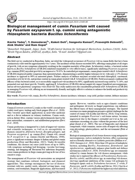 Biological Management Of Cumin Fusarium Wilt Caused Pdf Cumin Biology