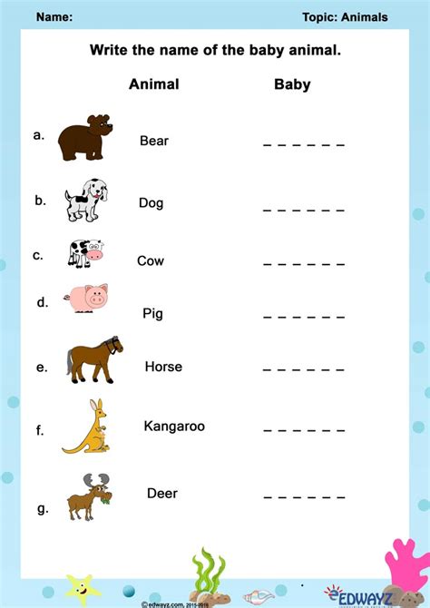 Evs Worksheet For 2nd Grade