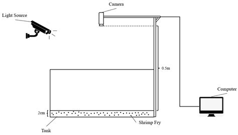 Automatic Shrimp Fry Counting Method Using Multi Scale Attention Fusion