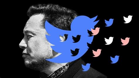 Tecno Unveils Spark Go An Entry Level Smartphone PhoneWorld