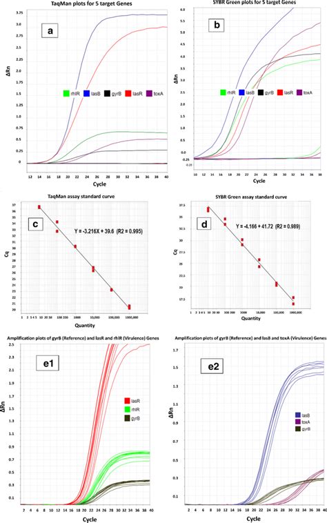 Amplification And Standard Curves Of Qpcr Assays For Pseudomonas Download Scientific Diagram