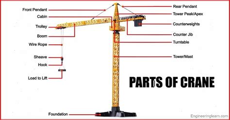 crane explained at tammy pough blog