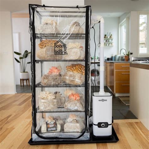 Boomroom Ii Automated Martha Tent Mushroom Grow Kit Epic Gardening