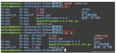 乌班图中ls不同的命令选项 ubuntu 文件带i csdn博客