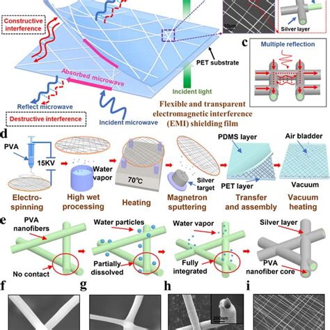 Schematic Illustrations Preparation Processes And Sems Of The Download Scientific Diagram