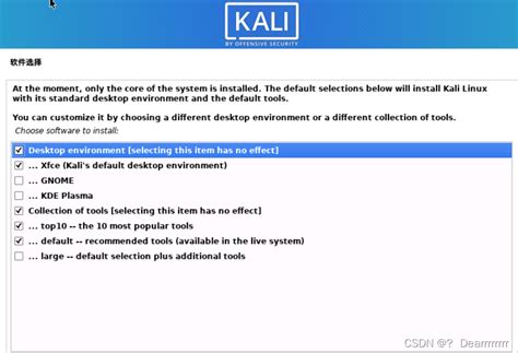 kali安装过程 csdn博客