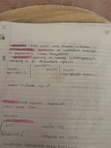 Evolution Ch 2 Test Flashcards Quizlet