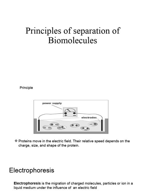 Principles of Separation of Biomolecules | PDF | Mass Spectrometry | Gel Electrophoresis