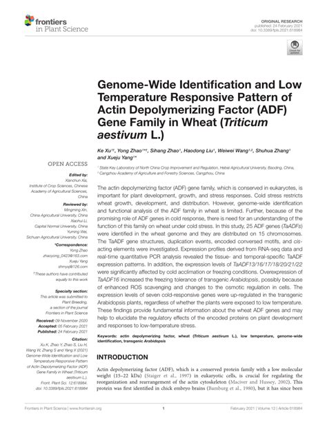 Pdf Genome Wide Identification And Low Temperature Responsive Pattern Of Actin Depolymerizing