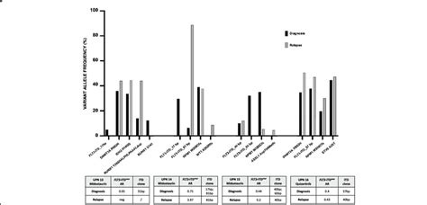 Clinical Biological Characteristic And Targeted Ngs Analyses At Download Scientific Diagram