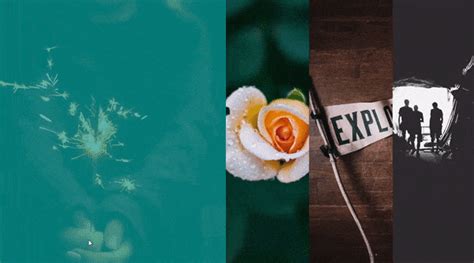 css flexbox examples webartdeveloper