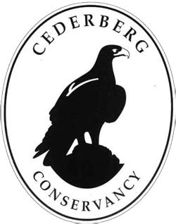Khoisan Rock Art Cederberg Conservancy South Africa Western Cape
